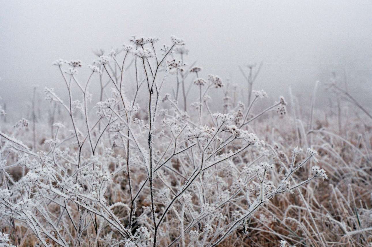 Nation Photo | Laboratoire photo argentique